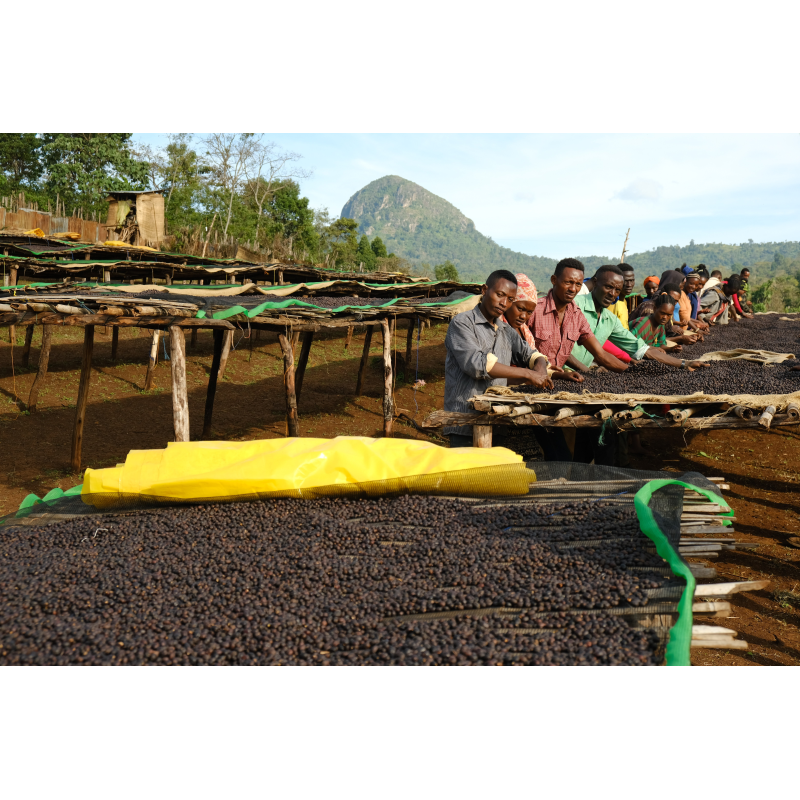 Ethiopia Guji Natural Organic*